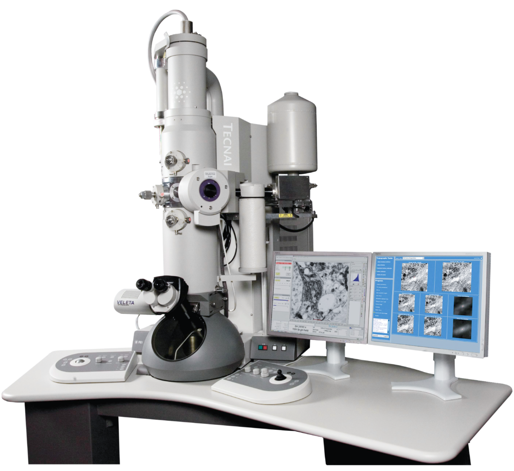Transmission Electron Microscopy (TEM) - MP4MNT